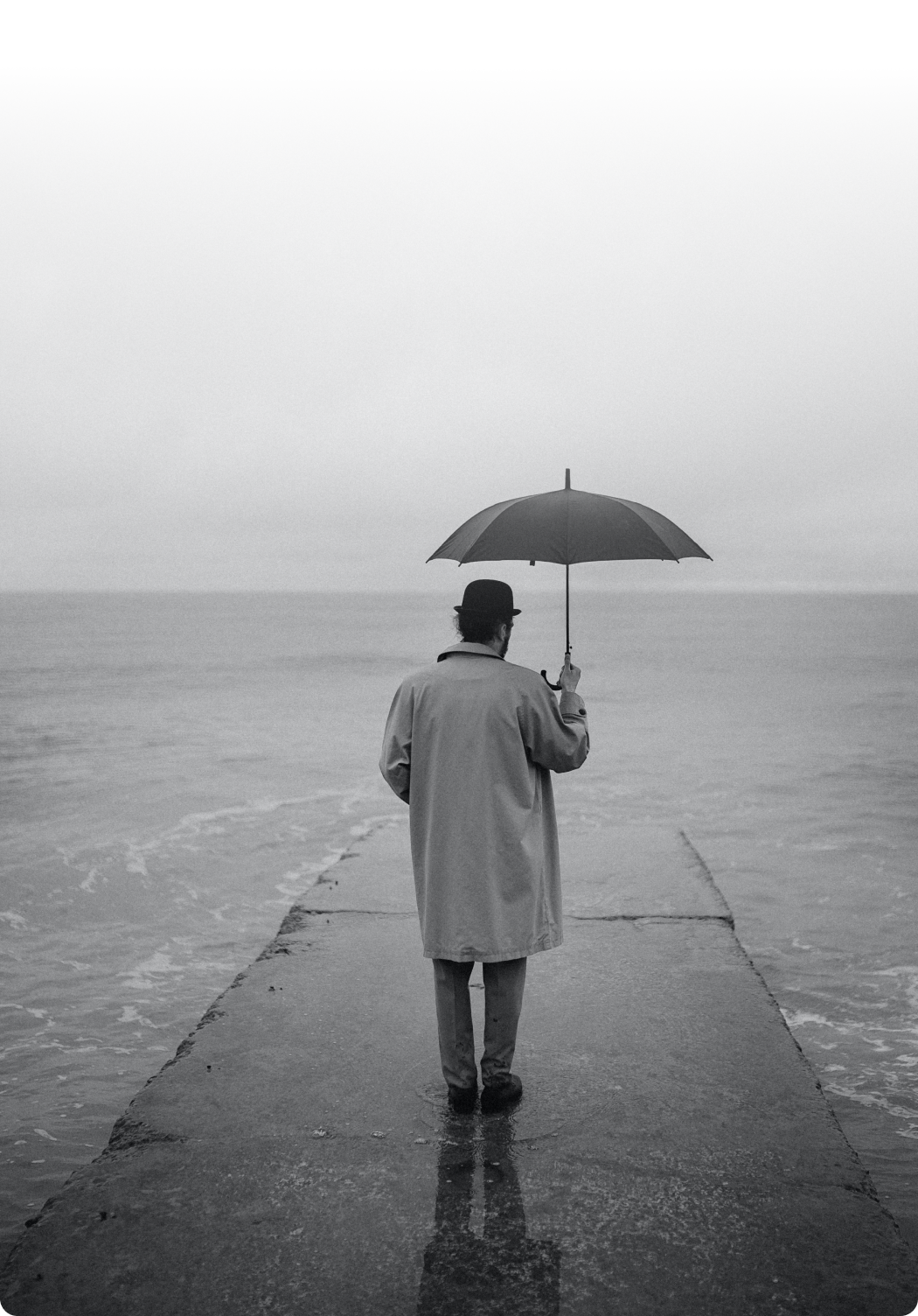 Agribot – Precision Agriculture